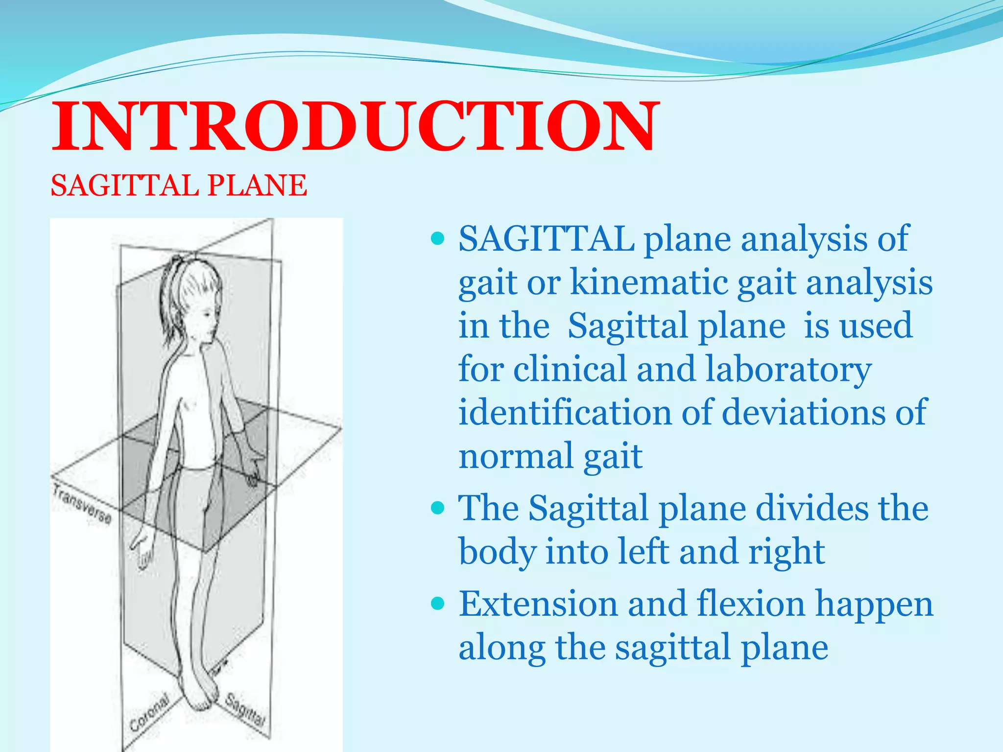P pt final sagittal plane analysis of gait | PPTX