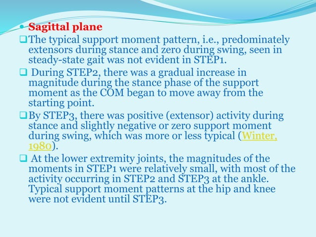 P pt final sagittal plane analysis of gait | PPTX