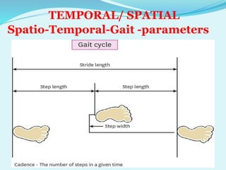 P pt final sagittal plane analysis of gait | PPTX