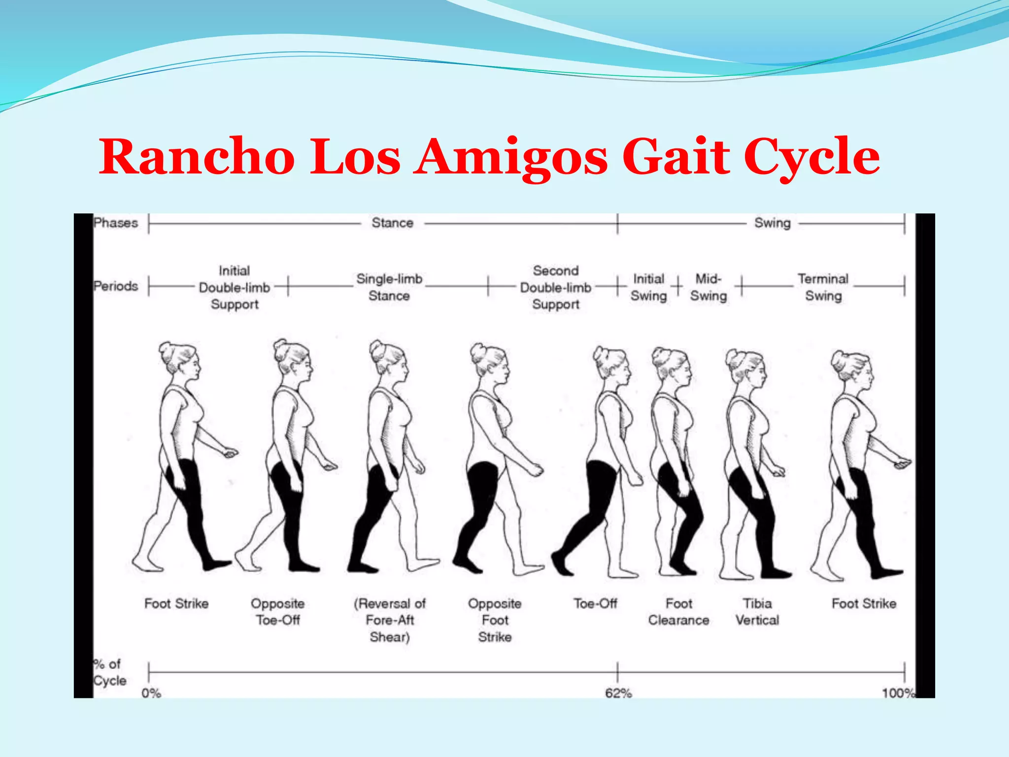 SAGITTAL PLANE ANALYSIS OF GAIT BY DR TABASSUM AZMI | PPTX