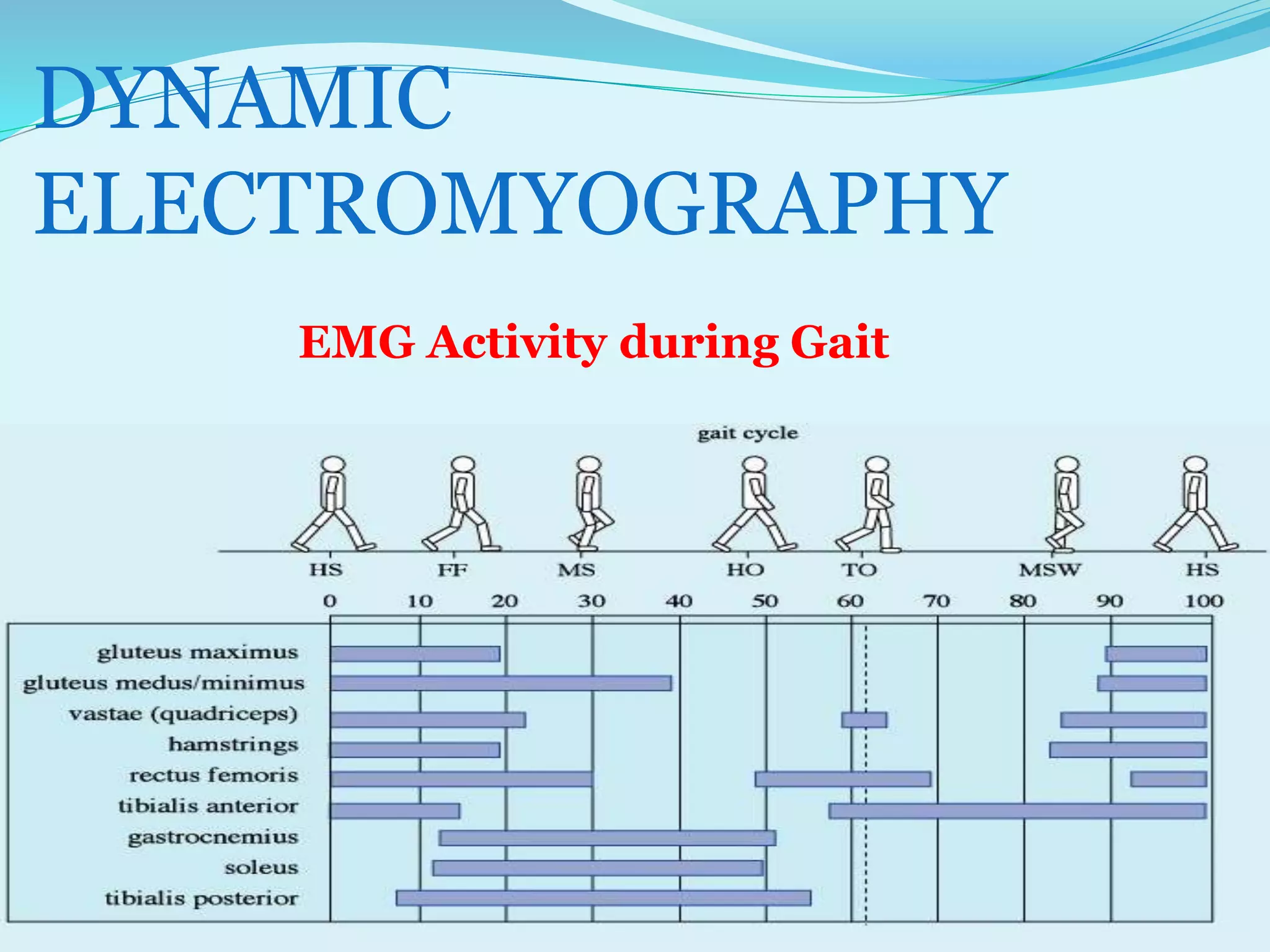 SAGITTAL PLANE ANALYSIS OF GAIT BY DR TABASSUM AZMI | PPTX