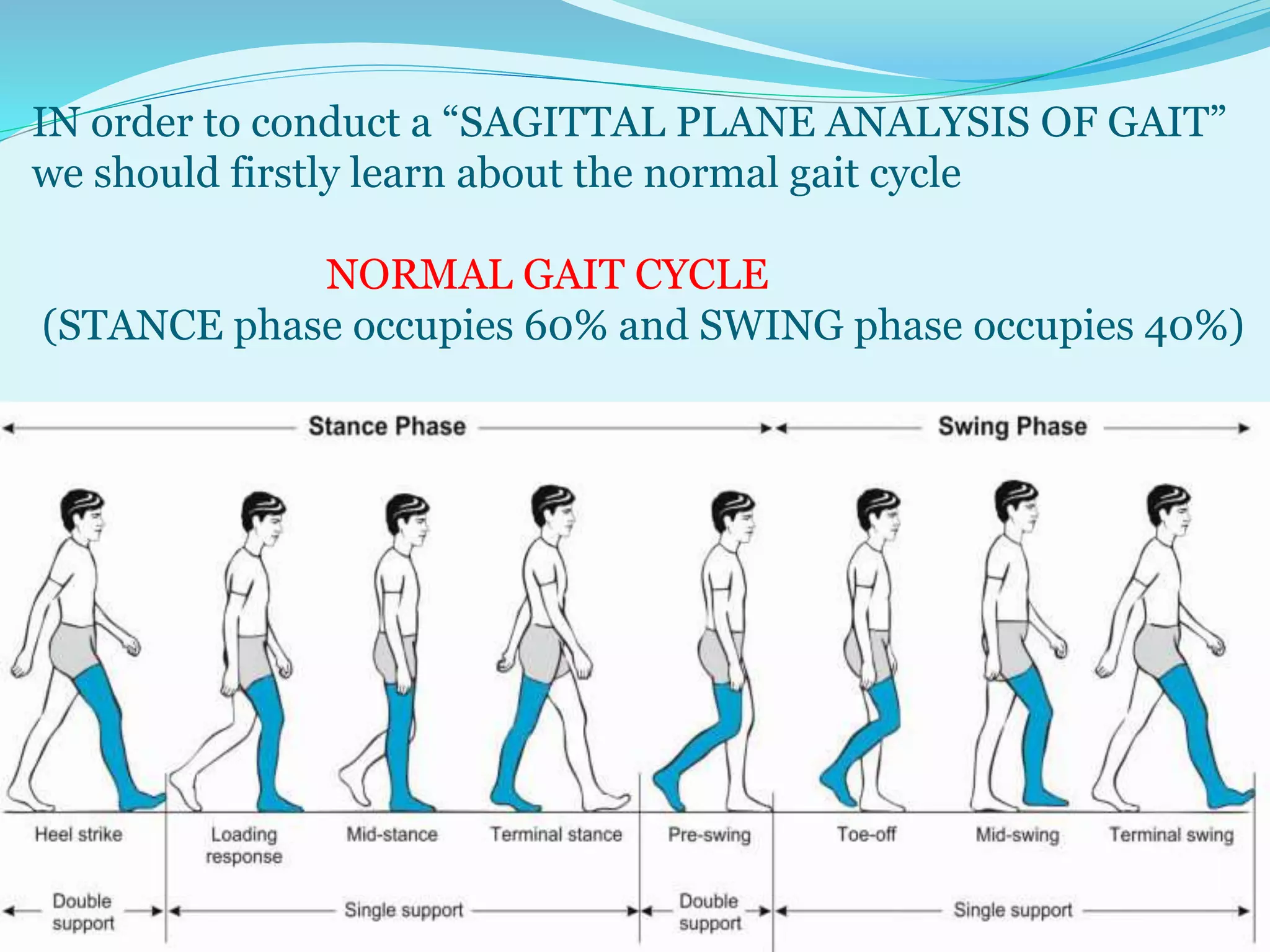 SAGITTAL PLANE ANALYSIS OF GAIT BY DR TABASSUM AZMI | PPTX