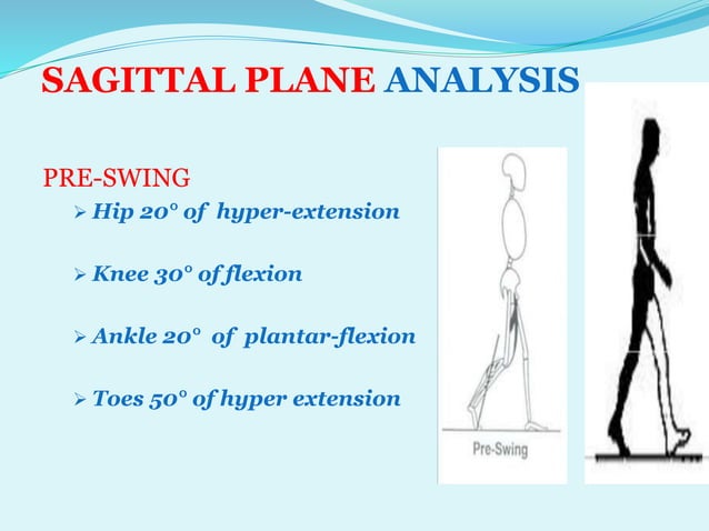 SAGITTAL PLANE ANALYSIS OF GAIT BY DR TABASSUM AZMI | PPTX