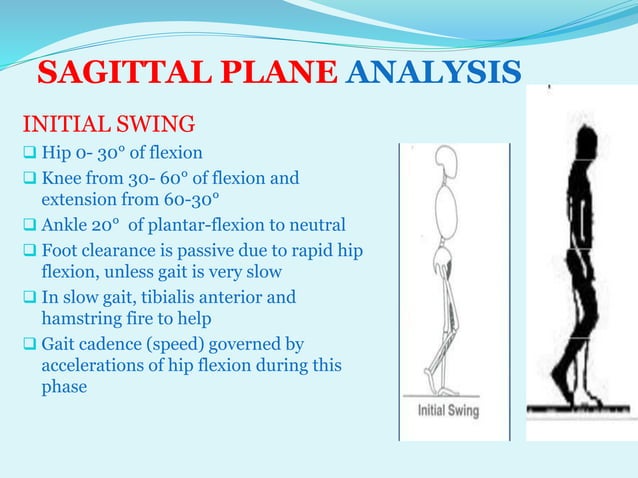 SAGITTAL PLANE ANALYSIS OF GAIT BY DR TABASSUM AZMI | PPTX