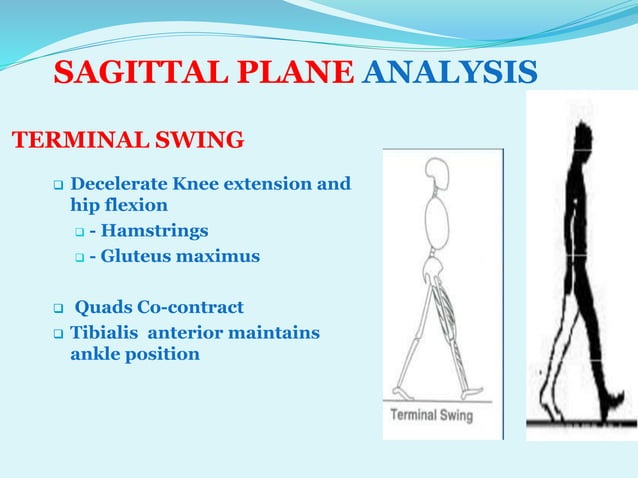 SAGITTAL PLANE ANALYSIS OF GAIT BY DR TABASSUM AZMI | PPTX