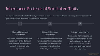 ppt ON final sex-linked inheritance.pptx