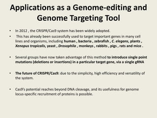 "CRISPR" Gene Editing Tool | PPTX