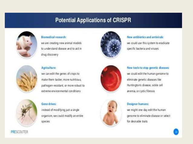 "CRISPR" Gene Editing Tool | PPT