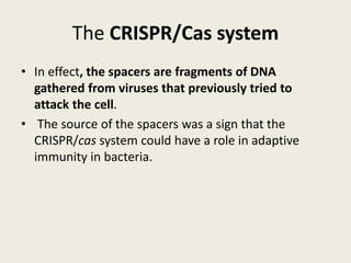 "CRISPR" Gene Editing Tool | PPTX