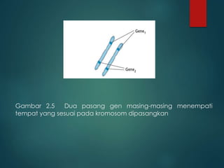 Gen, Lingkungan dan Evolusi | PPTX