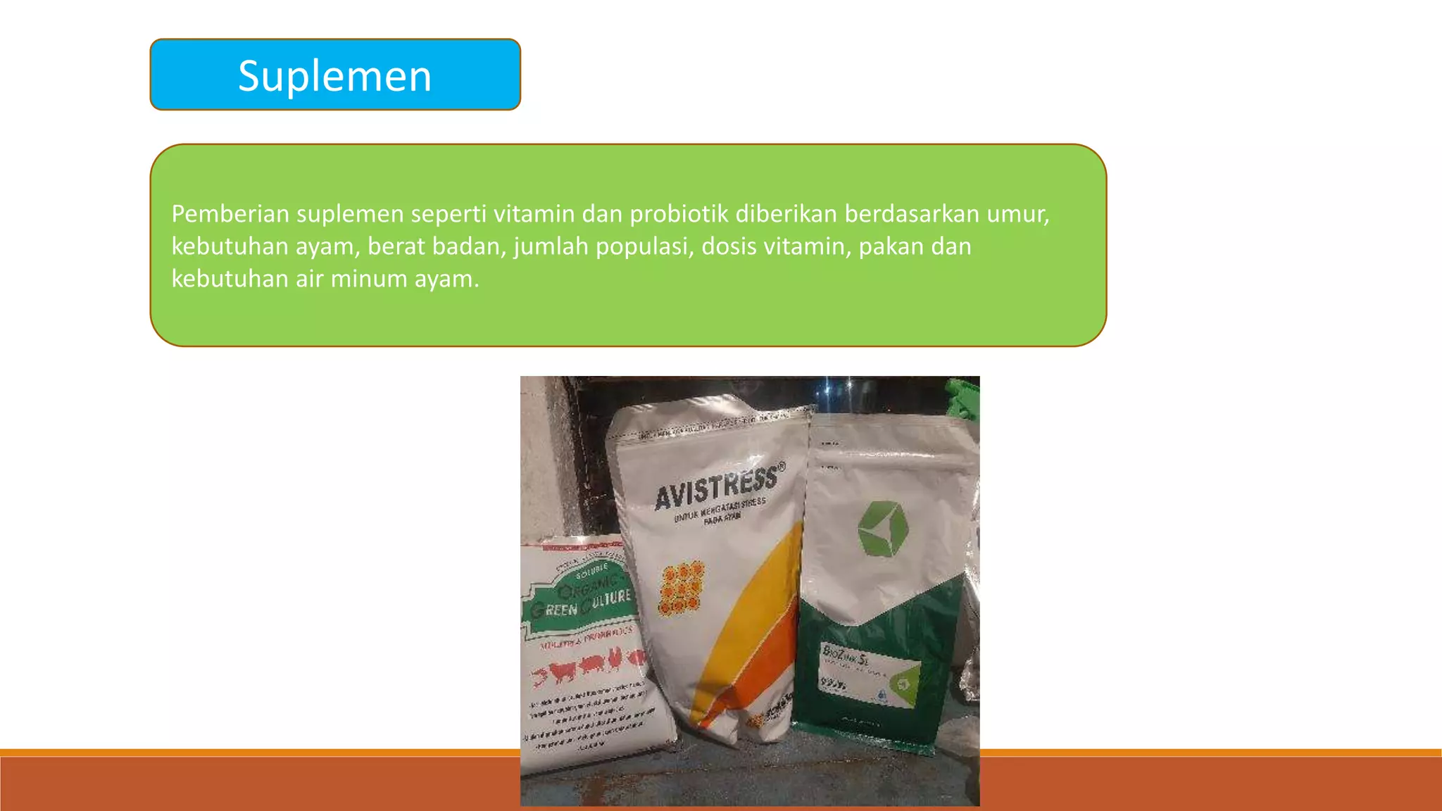 PPT_Firman Setyawan.pptx