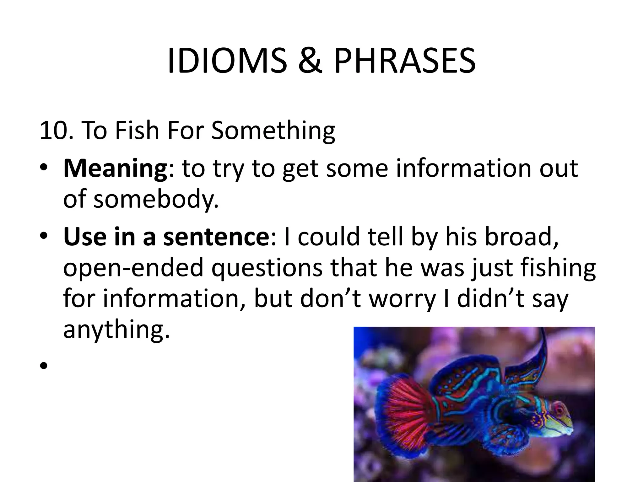 IDIOMS AND PHRASES ON FISH | PPTX