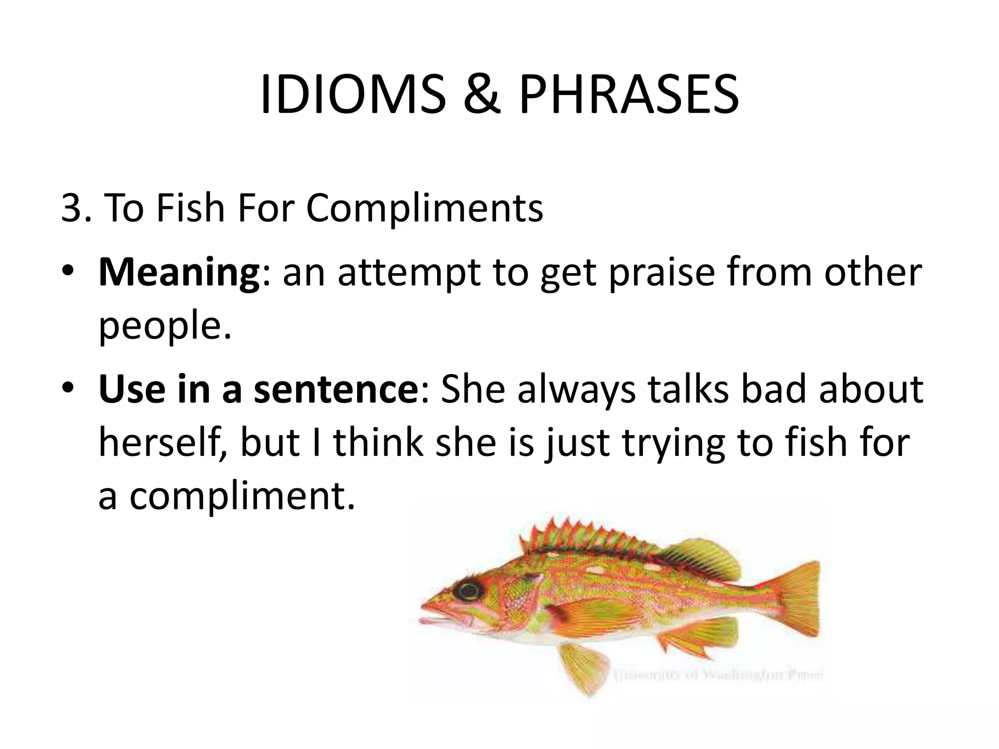IDIOMS AND PHRASES ON FISH | PPTX