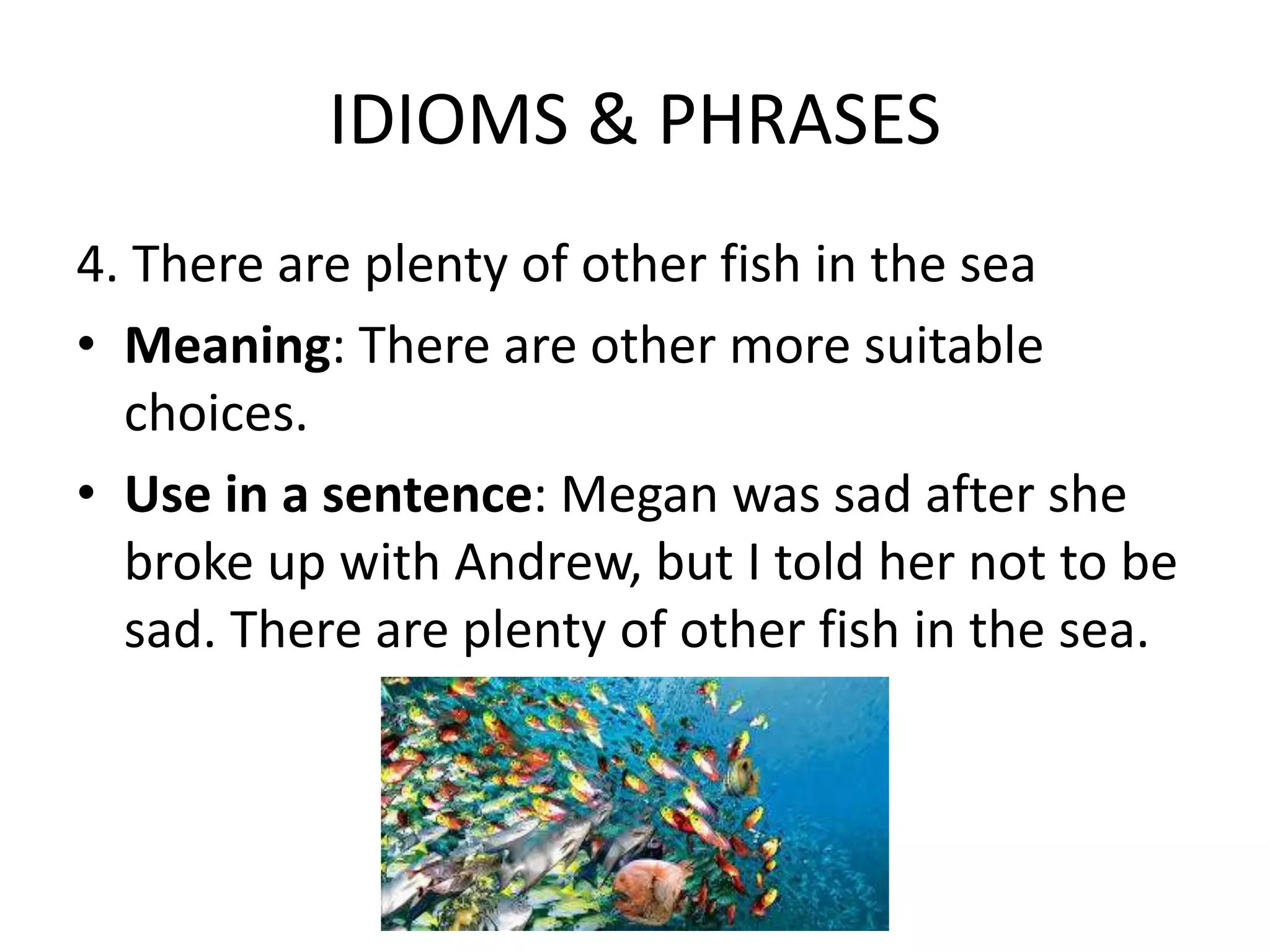 IDIOMS AND PHRASES ON FISH | PPTX