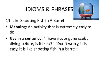 IDIOMS AND PHRASES ON FISH | PPTX
