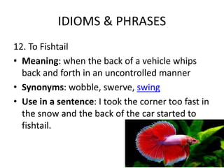 IDIOMS AND PHRASES ON FISH | PPTX