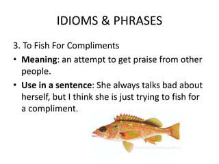 IDIOMS AND PHRASES ON FISH | PPTX