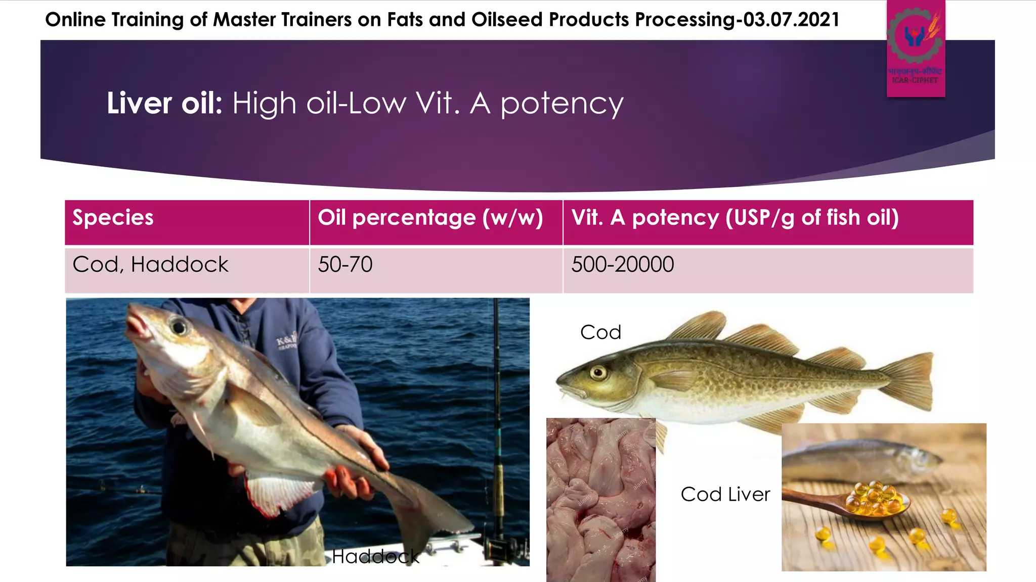 Fish oil extraction and processing techniques | PDF