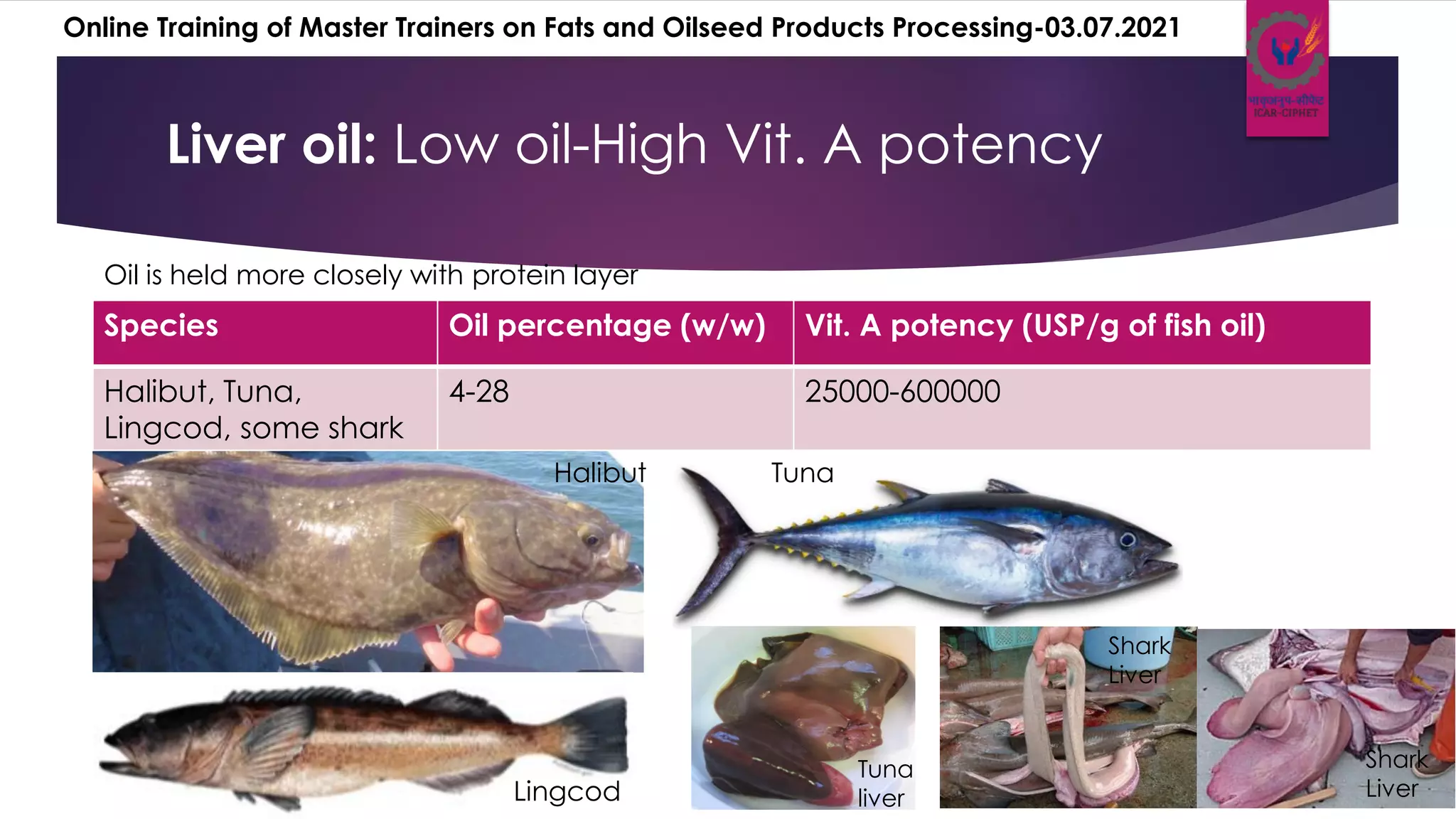 Fish oil extraction and processing techniques | PDF