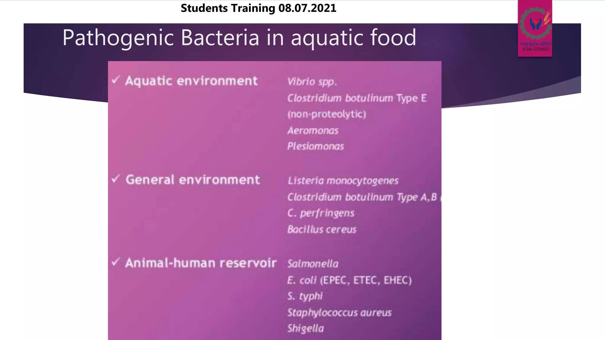 Fish quality assurance and management | PPTX