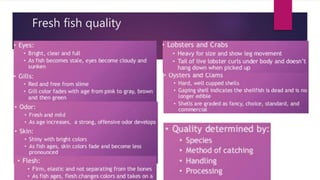 Fish quality assurance and management | PPTX