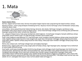 Alat Optik | PPTX