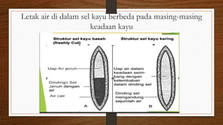 PPT Fisika Kayu "Hubungan Kayu dengan Air" | PPTX