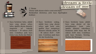 ppt fisika kayu_anggitya tiara pakpahan(g1012211004).pptx