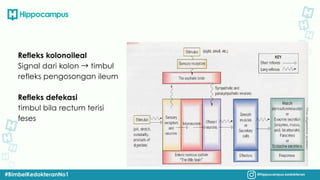 PPT Fisiologi 2.0.pdf fisiologi manusia pencernaan | PDF