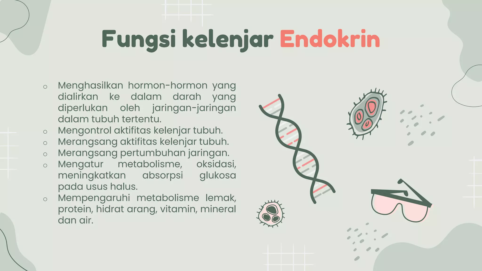 PPT FISIOLOGI ENDOKRIN.pptx