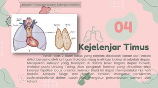 PPT FISIOLOGI ENDOKRIN.pptx