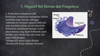 PPT KELOMPOK 2 FISIOLOGI HEWAN FUNGSI DAN STRUKTUR HEWAN | PPTX