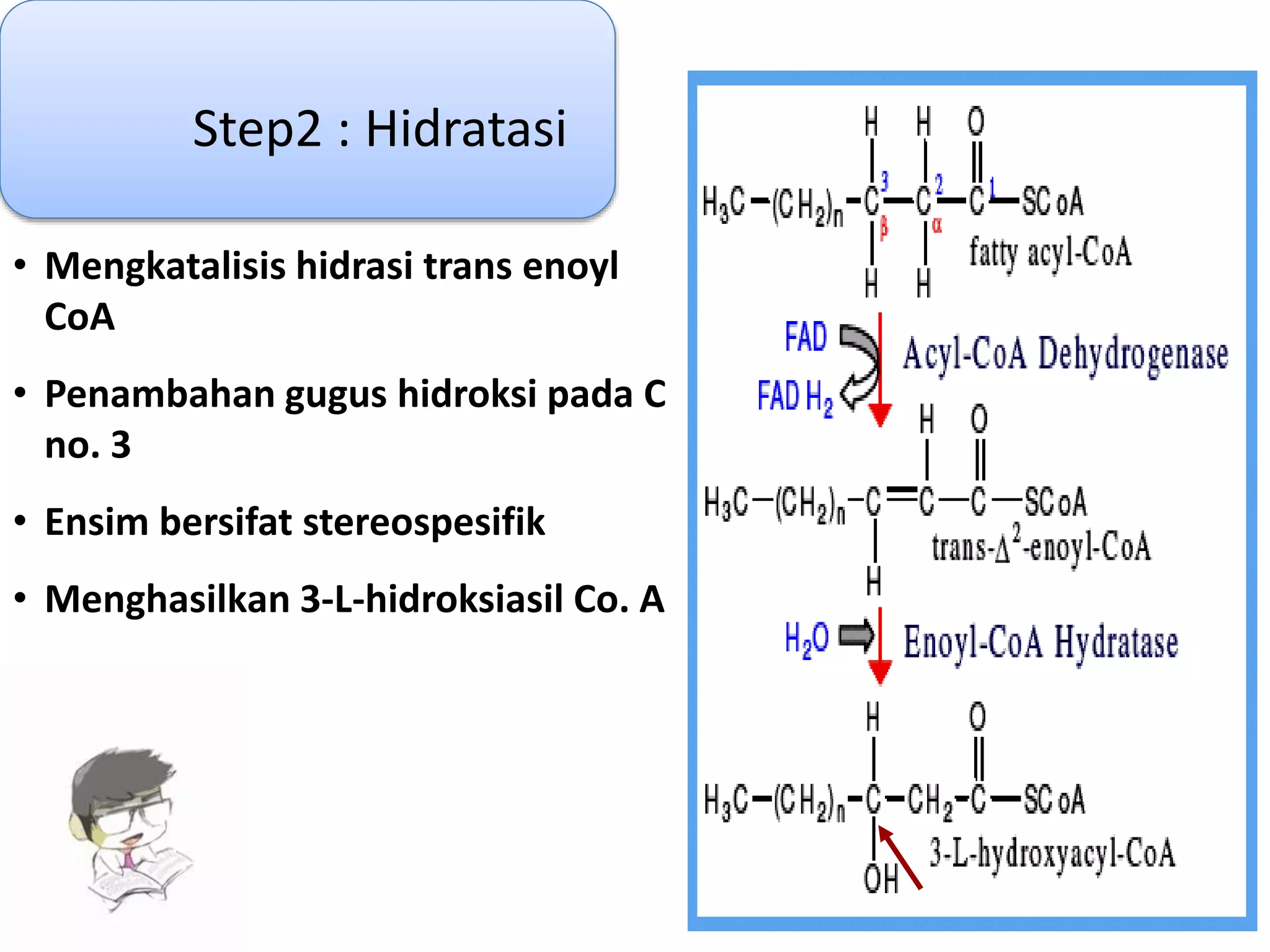 ppt fistum revisi.pptx