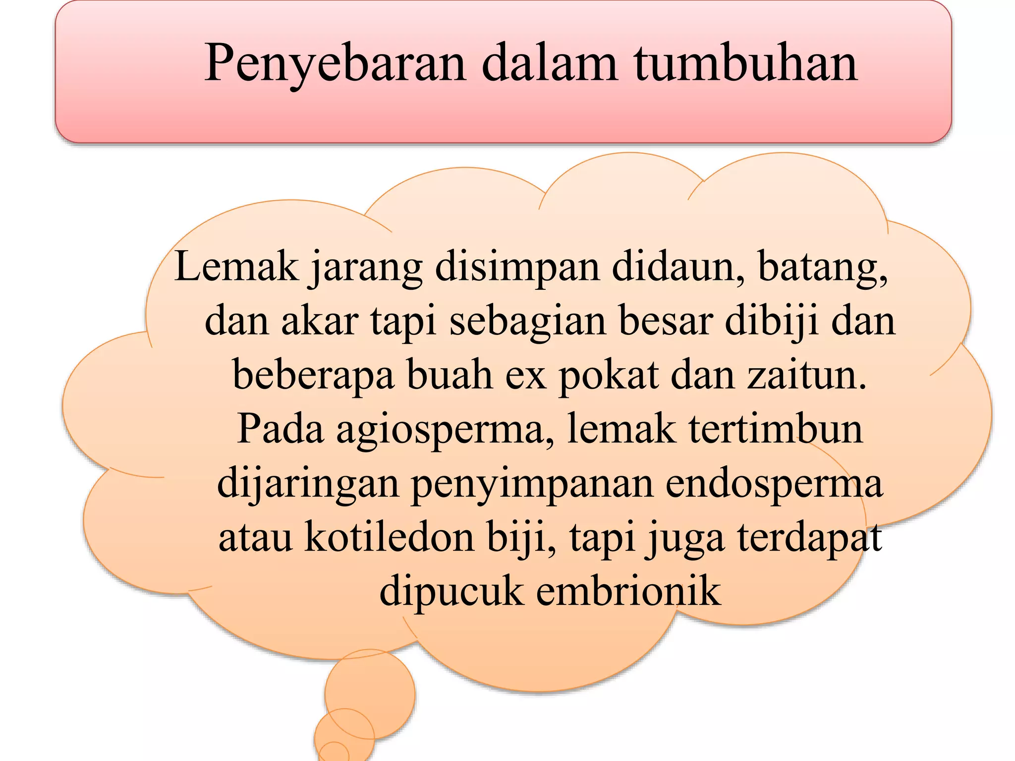 ppt fistum revisi.pptx