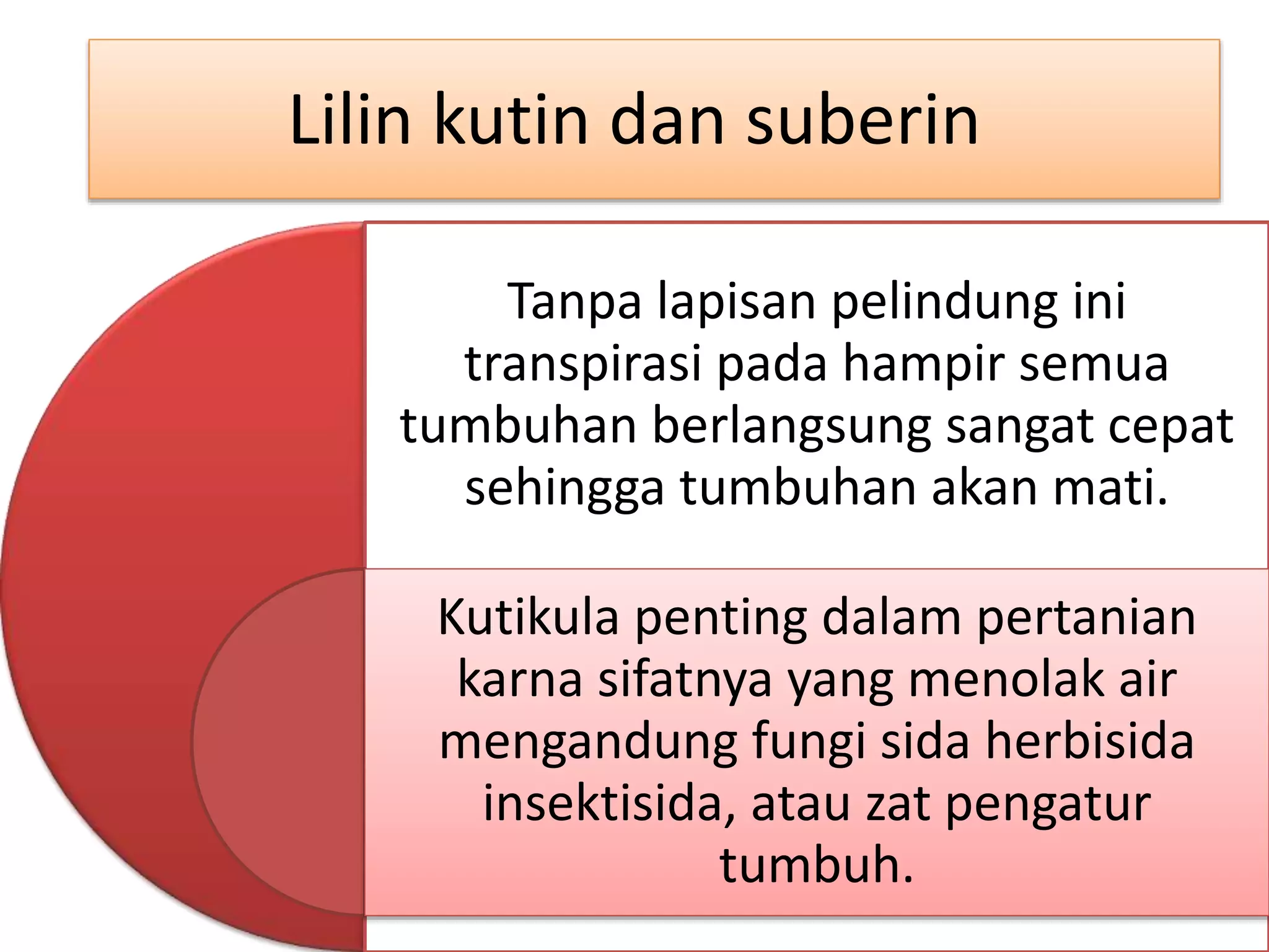 ppt fistum revisi.pptx