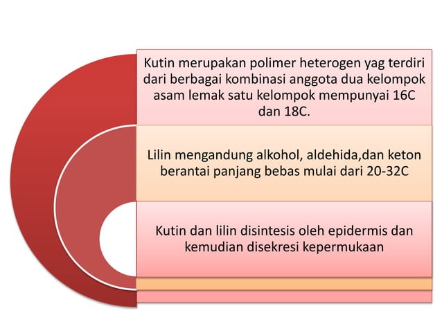 ppt fistum revisi.pptx