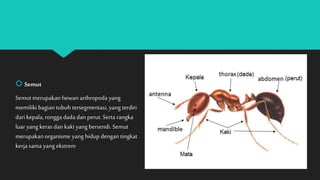 ppt fiswan klp 10.pptx