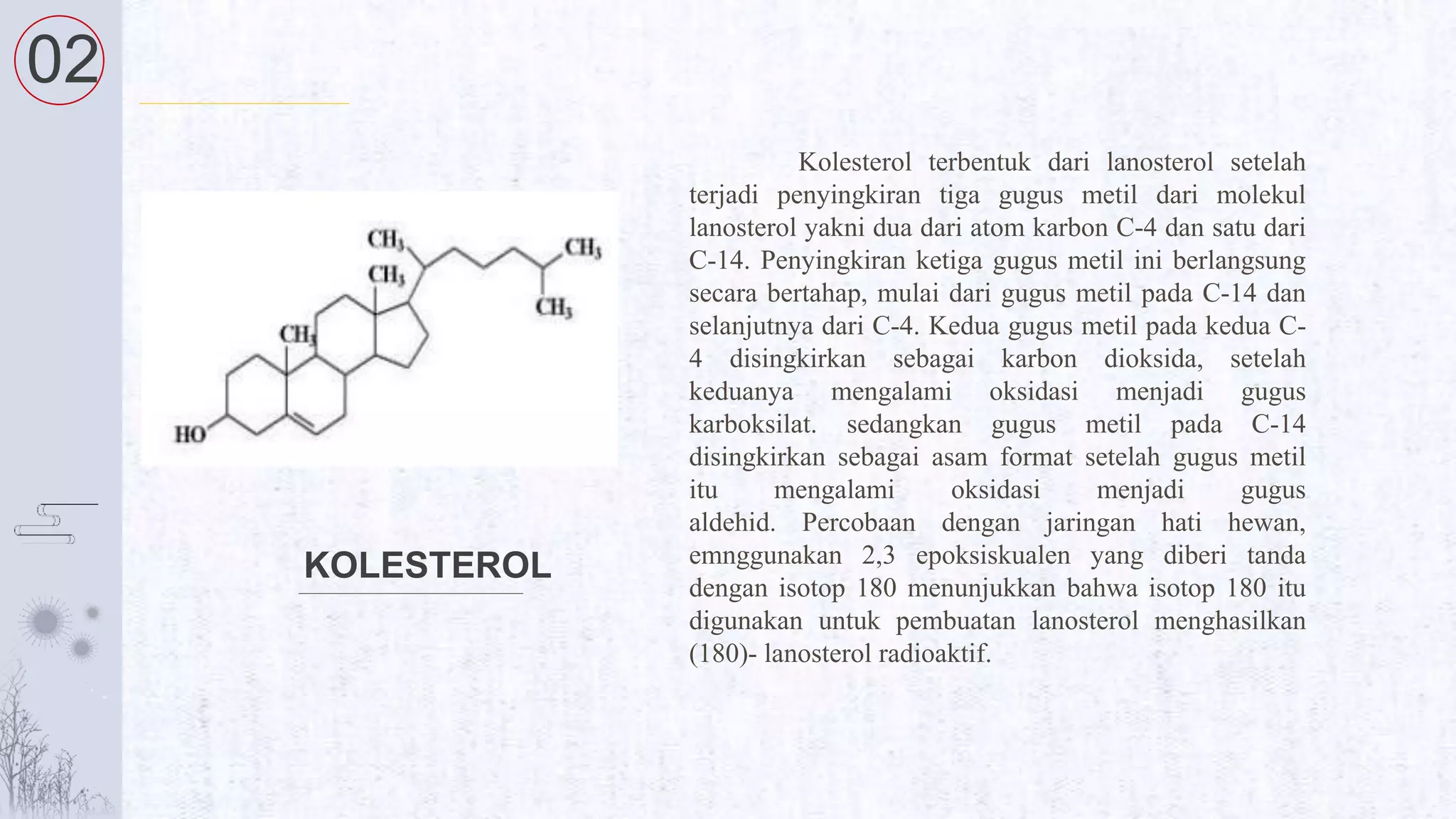 Ppt fitokimia - STEROID | PPTX