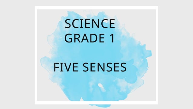 ppt five senses grade 1.ppt ppt five senses grade 1.ppt ppt five senses ...