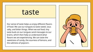 ppt five senses grade 1.ppt ppt five senses grade 1.ppt ppt five senses ...