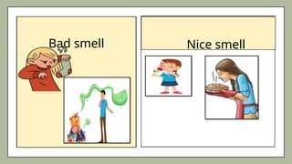 ppt five senses grade 1.ppt ppt five senses grade 1.ppt ppt five senses ...