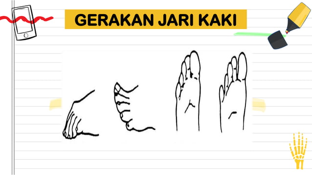 Latihan Rentang Gerak Range Of Motion Pptx