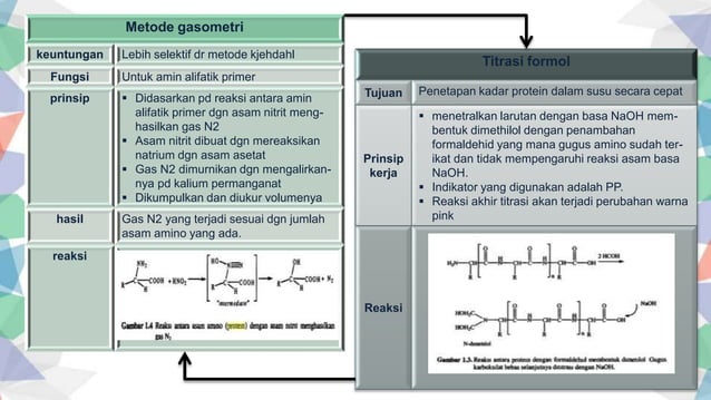 analisis protein dalam produk makanan | PPTX
