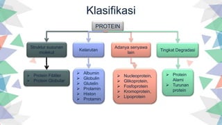 analisis protein dalam produk makanan | PPTX