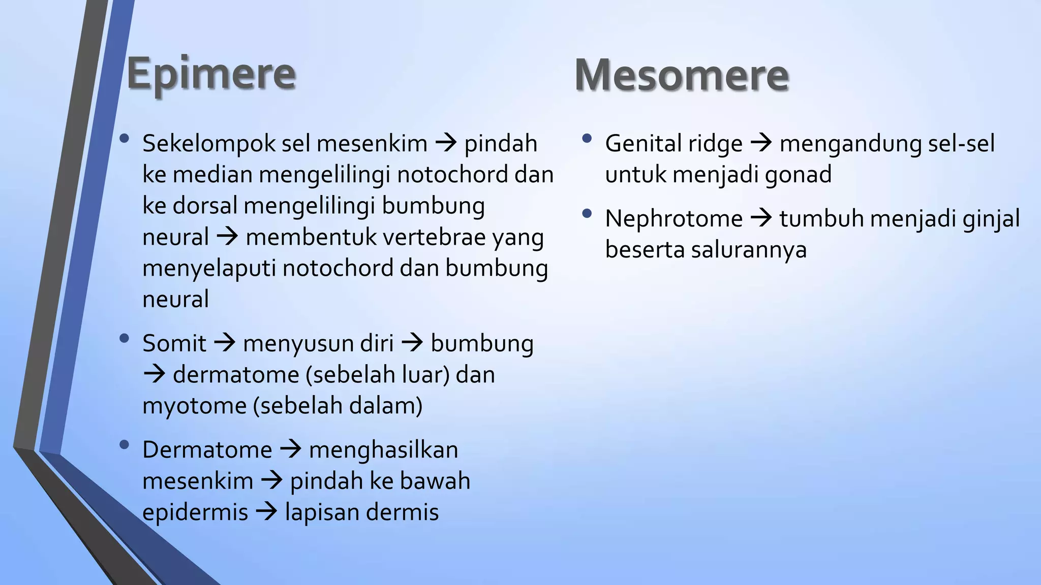 PPT_FIX_ORGANOGENESIS_DASAR_pptx.pptx