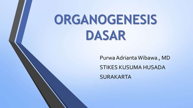 PPT_FIX_ORGANOGENESIS_DASAR_pptx.pptx