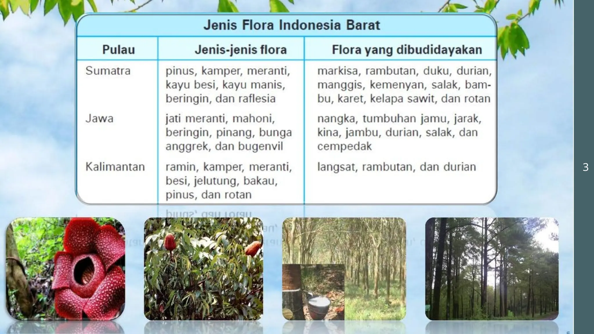 PPT materi tentang Flora di Indonesia.pptx
