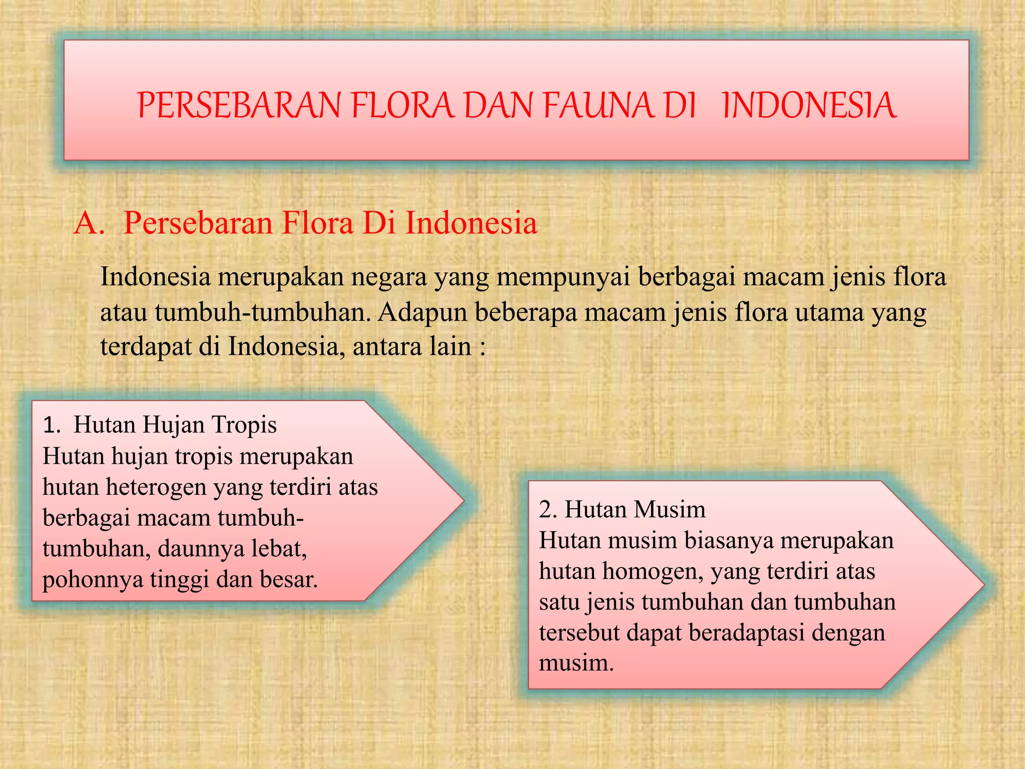 Ppt flora fauna | PPTX