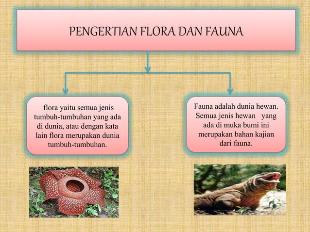Ppt flora fauna | PPTX