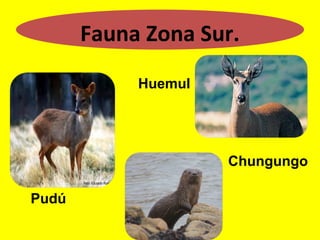 Ppt flora, fauna y paisajes por zonas | PPT